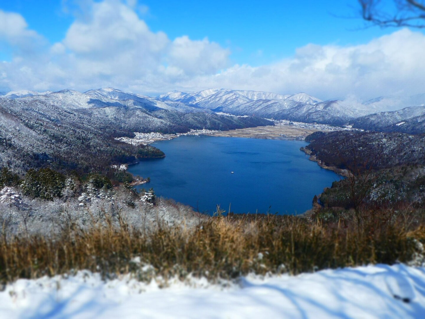 岩崎山・大岩山・賤ヶ岳 / Enjoy Lifeさんの賤ヶ岳・山本山の活動データ | YAMAP / ヤマップ