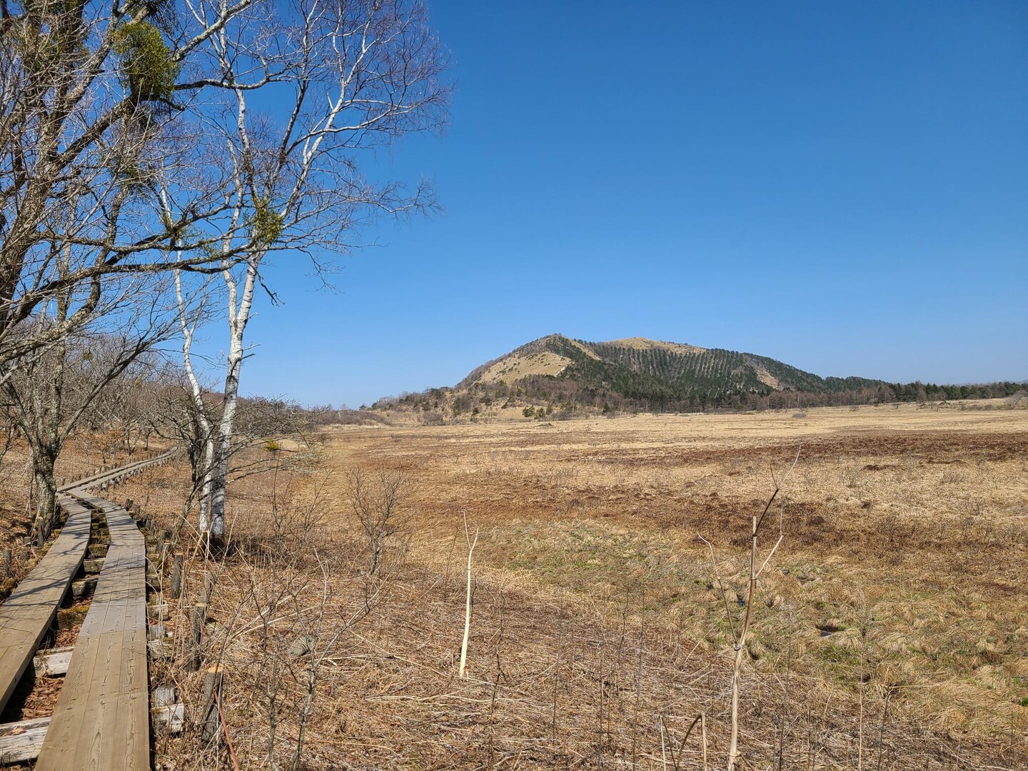 鷲ヶ峰 / Reyさんの霧ヶ峰・車山・大笹峰の活動データ | YAMAP / ヤマップ