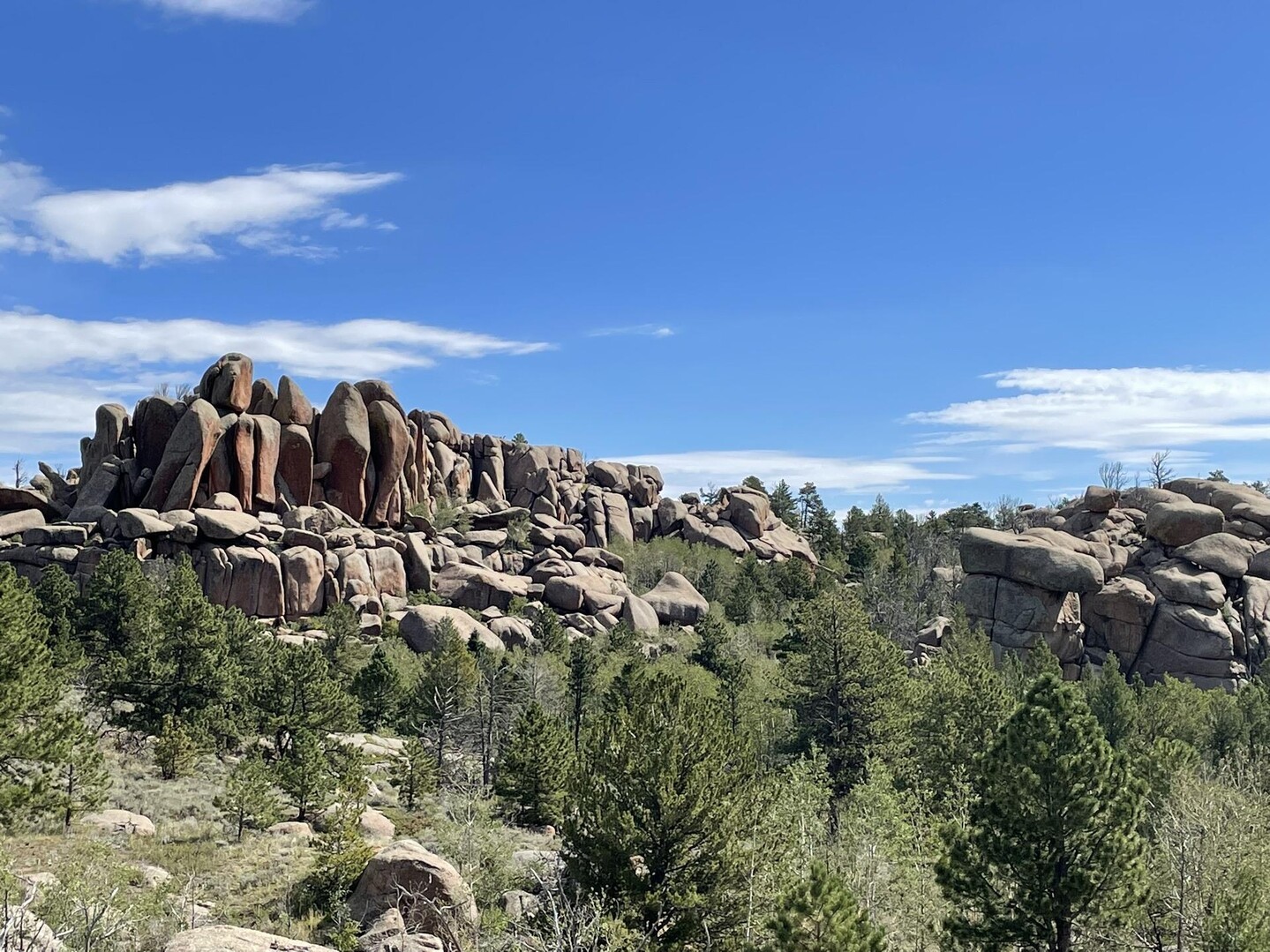 アメリカ12日目 ビデブー クライミング / suzuさんのクライミングの活動データ | YAMAP / ヤマップ