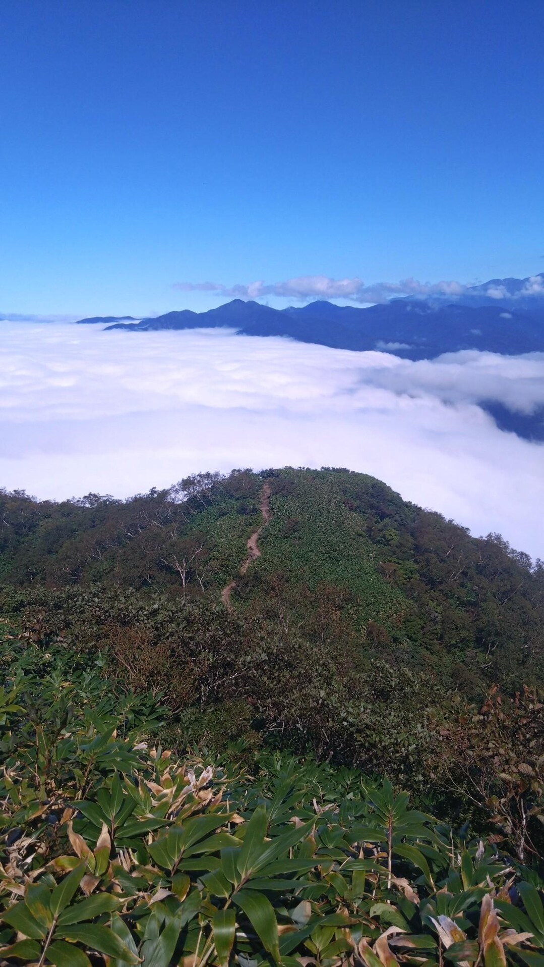荒島岳 雲を抜けたら… / skyさんの荒島岳の活動データ | YAMAP / ヤマップ