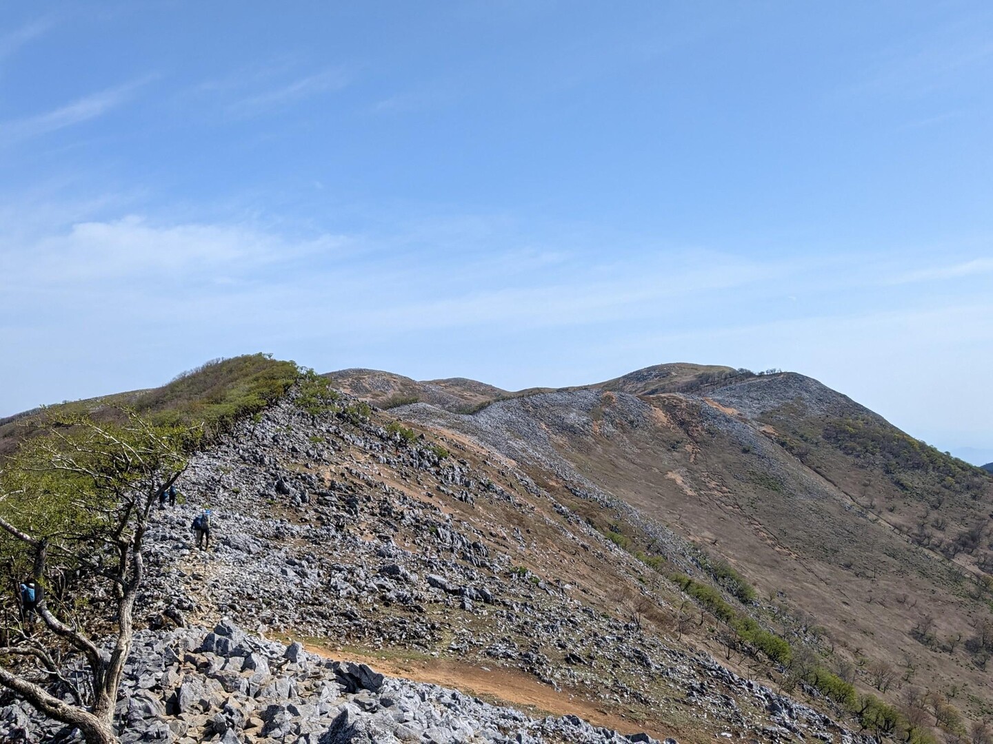 南霊岳・霊仙山最高点・霊仙山・経塚山 / satokenさんの霊仙山の活動データ | YAMAP / ヤマップ