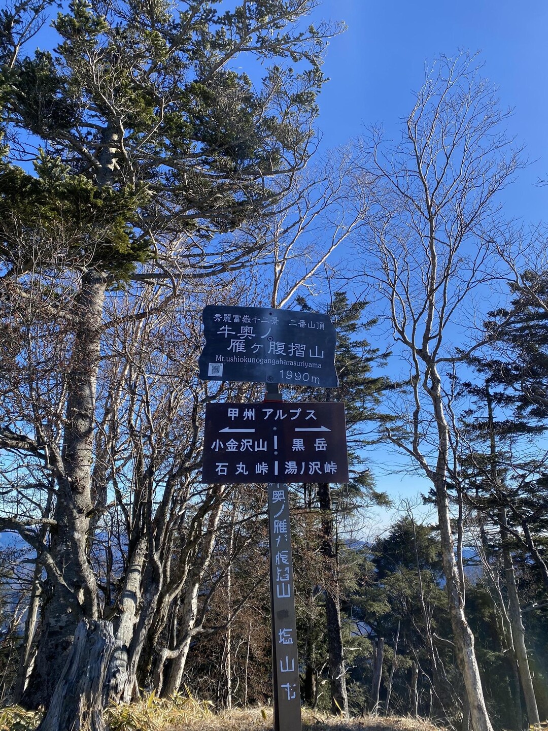 牛奥ノ雁ヶ腹摺山・川胡桃沢の頭・黒岳 / ayuminさんの雁ヶ腹摺山・岩殿山の活動データ | YAMAP / ヤマップ
