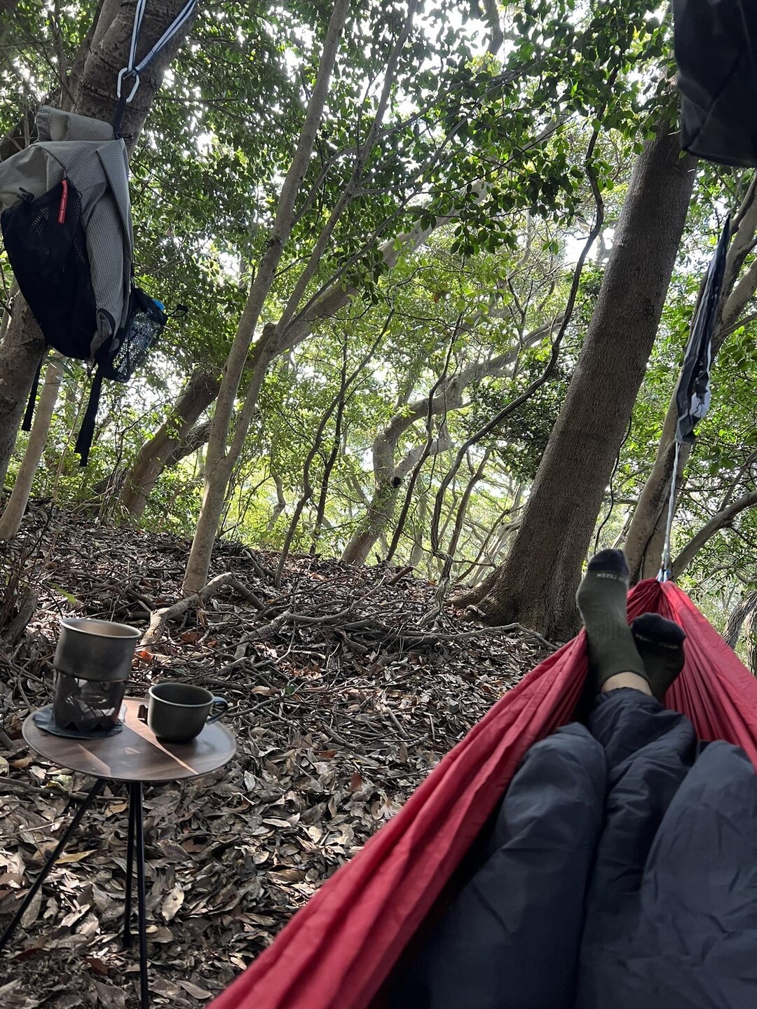 ハンモックハイク / Shin Gさんの平尾台・貫山・水晶山の活動データ | YAMAP / ヤマップ