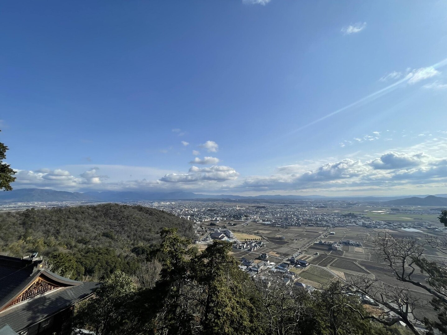 冬虫夏草の聖地巡礼＠太郎坊山(赤髪山) / podoryさんの箕作山・太郎坊山の活動日記 | YAMAP / ヤマップ