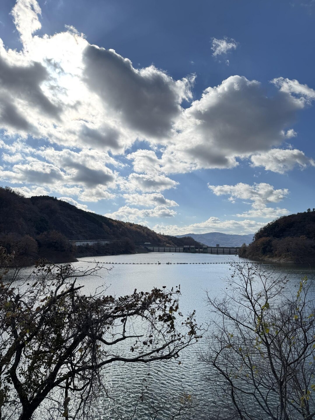 高代寺山・知明山・雨森山 / EIさんの三草山・滝王山（竜王山）の活動データ | YAMAP / ヤマップ