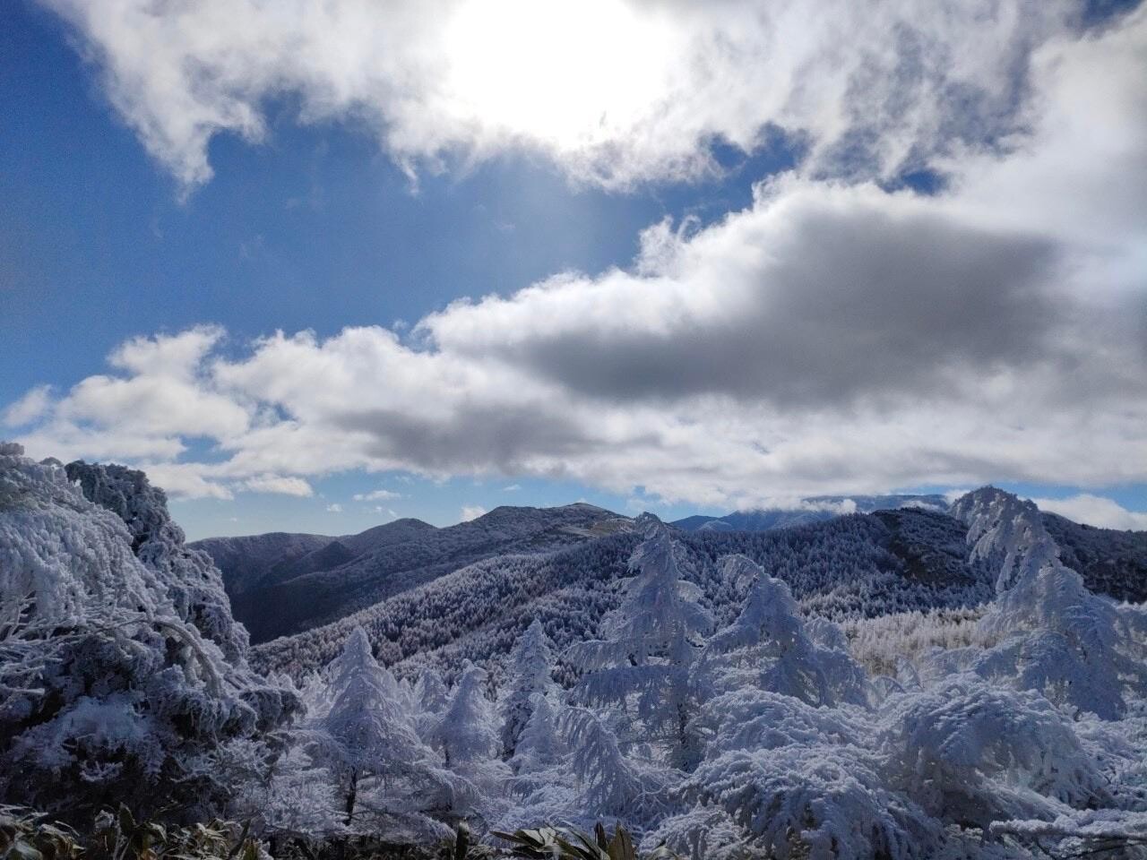 南沢山-横川山 / maoさんの恵那山・大判山・神坂山の活動データ | YAMAP / ヤマップ