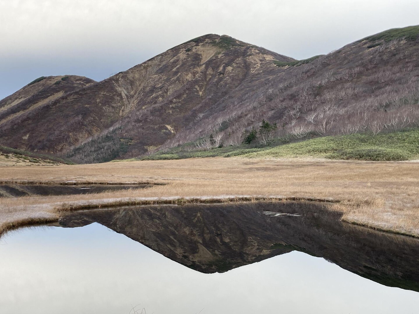 火打山〜妙高山縦走(笹ヶ峰登山口) / jinさんの妙高山・火打山の活動データ | YAMAP / ヤマップ