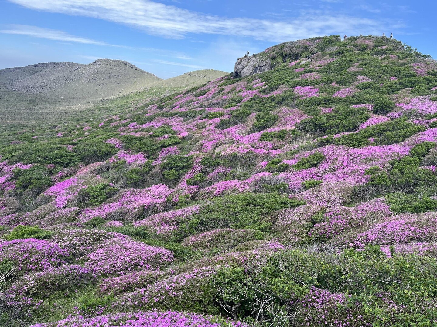 南岳・中岳・高岳 / YUKIEさんの阿蘇山・高岳・根子岳の活動データ | YAMAP / ヤマップ