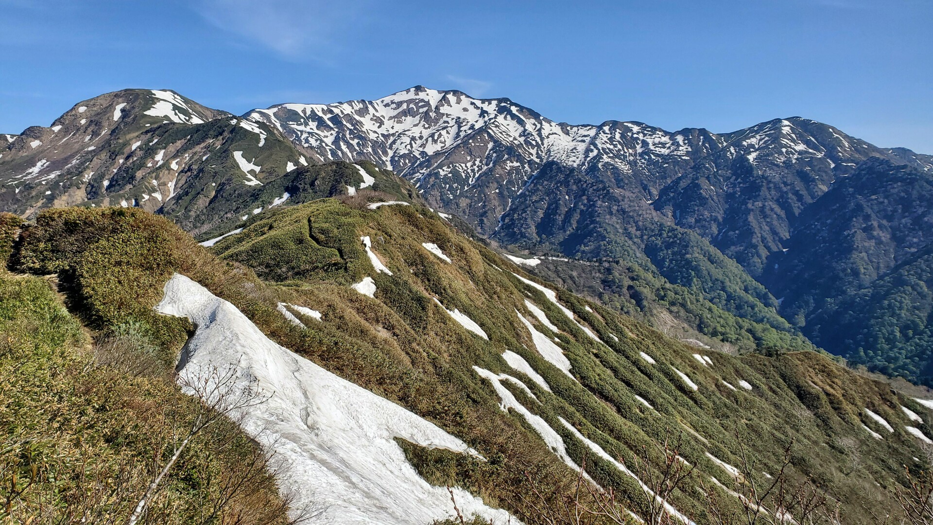 ドカーンと迫力の別山を眺めに銚子ヶ峰へ / airiskochanさんの白山・別山・銚子ヶ峰の活動データ | YAMAP / ヤマップ