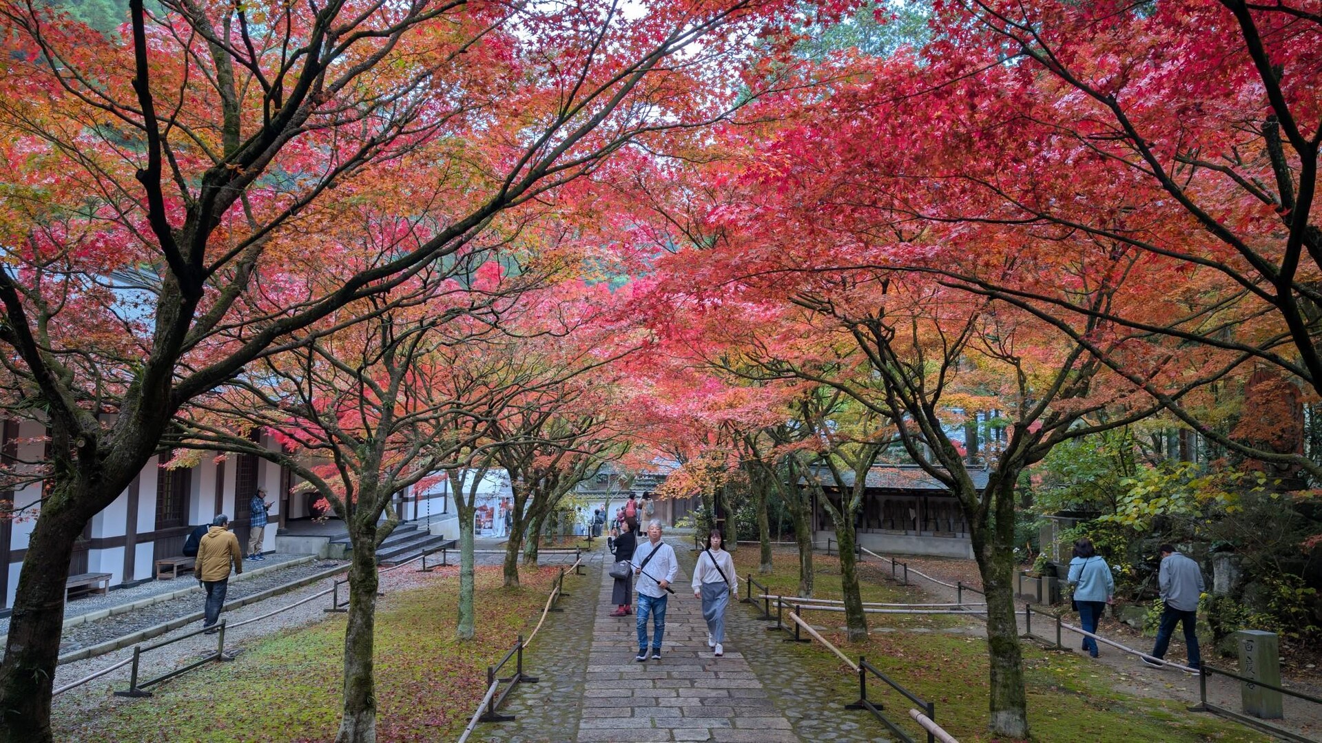 カミさんと呑山観音寺の紅葉見物 朝、9時... / tonnoさんのモーメント | YAMAP / ヤマップ