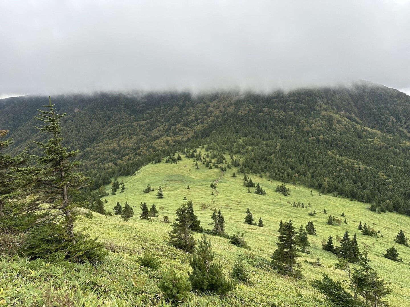 根子岳・四阿山・中四阿・小四阿 / szkさんの四阿山・根子岳の活動日記 | YAMAP / ヤマップ