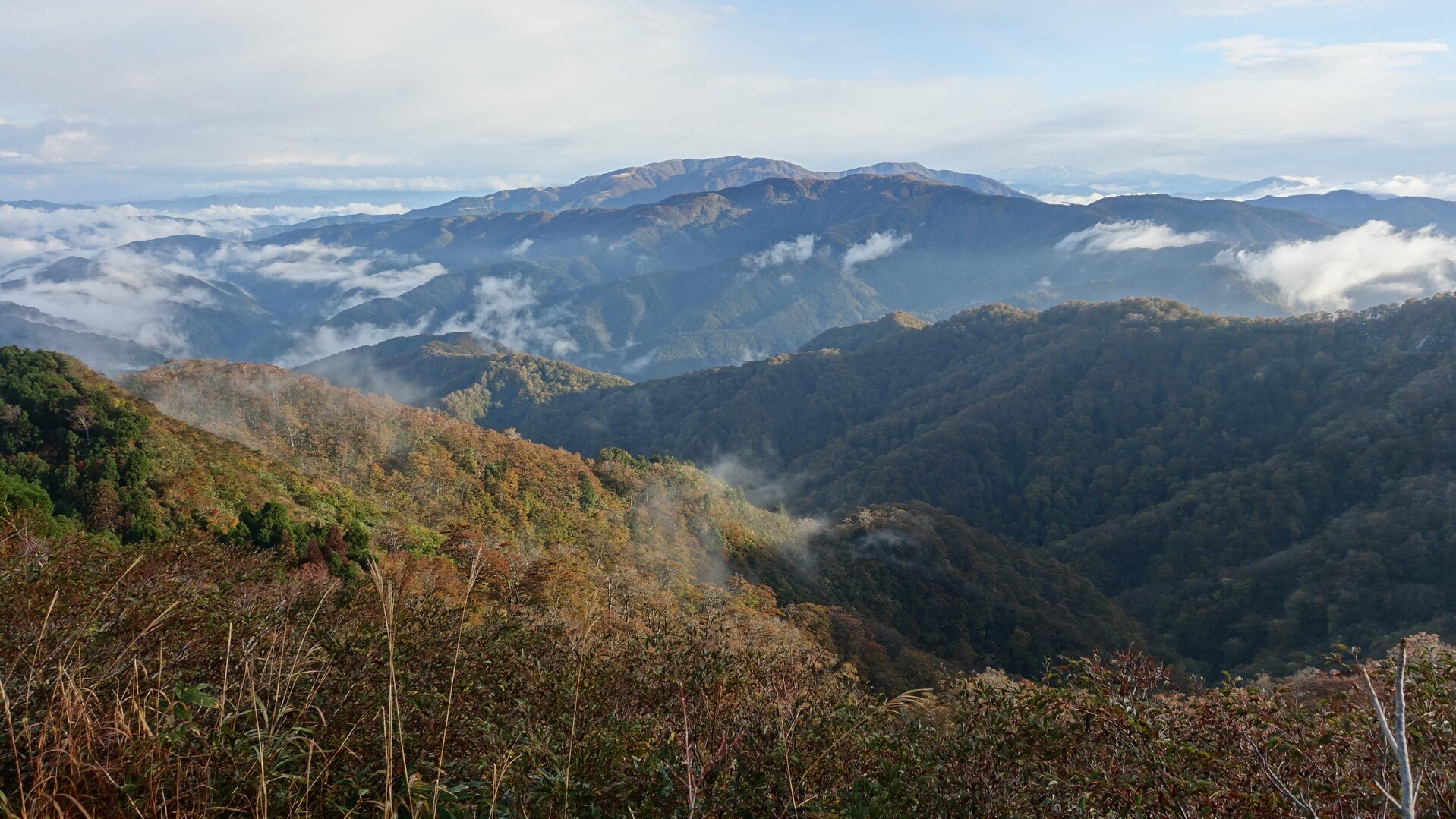 冠山峠~金草岳·冠山 / TJさんの冠山・金草岳の活動データ | YAMAP / ヤマップ