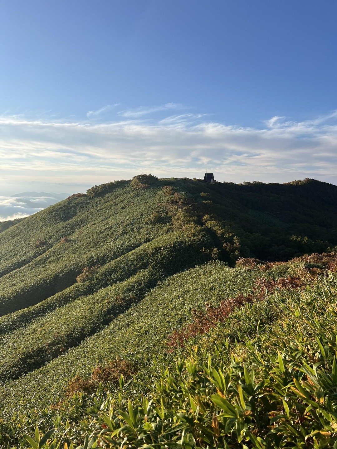 白神岳・日本キャニオン・青池 / Fisherマンさんの白神岳・蟶山・大峰岳の活動データ | YAMAP / ヤマップ