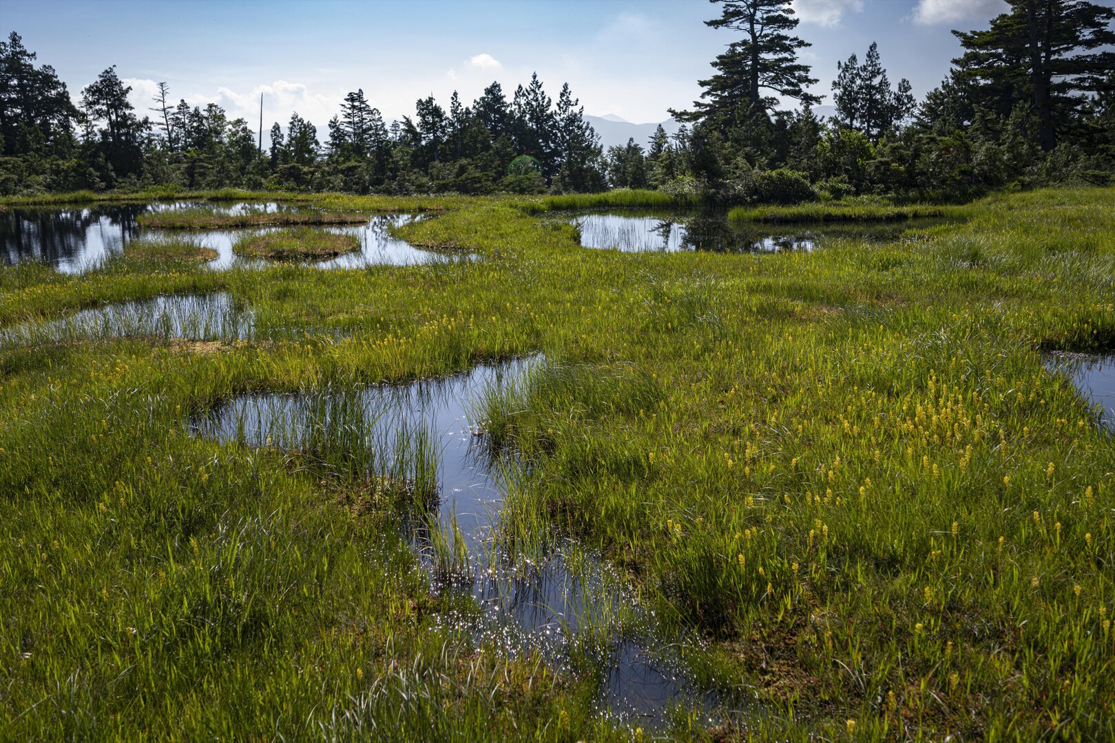 尾瀬 燧ヶ岳 / rinさんの尾瀬・燧ヶ岳の活動データ | YAMAP / ヤマップ