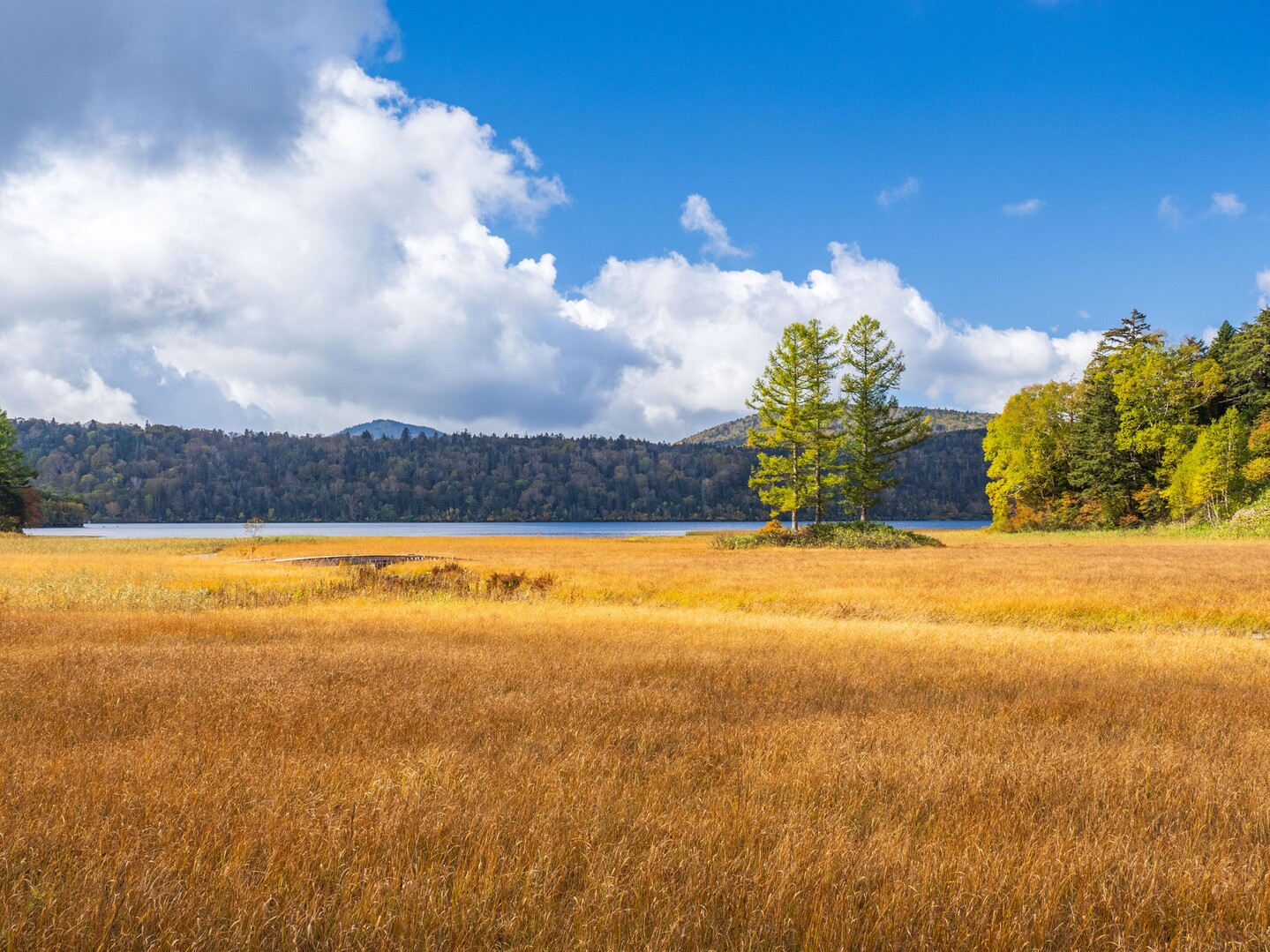 ちょこっと尾瀬沼😋 / せおとさんの尾瀬・燧ヶ岳の活動データ | YAMAP / ヤマップ