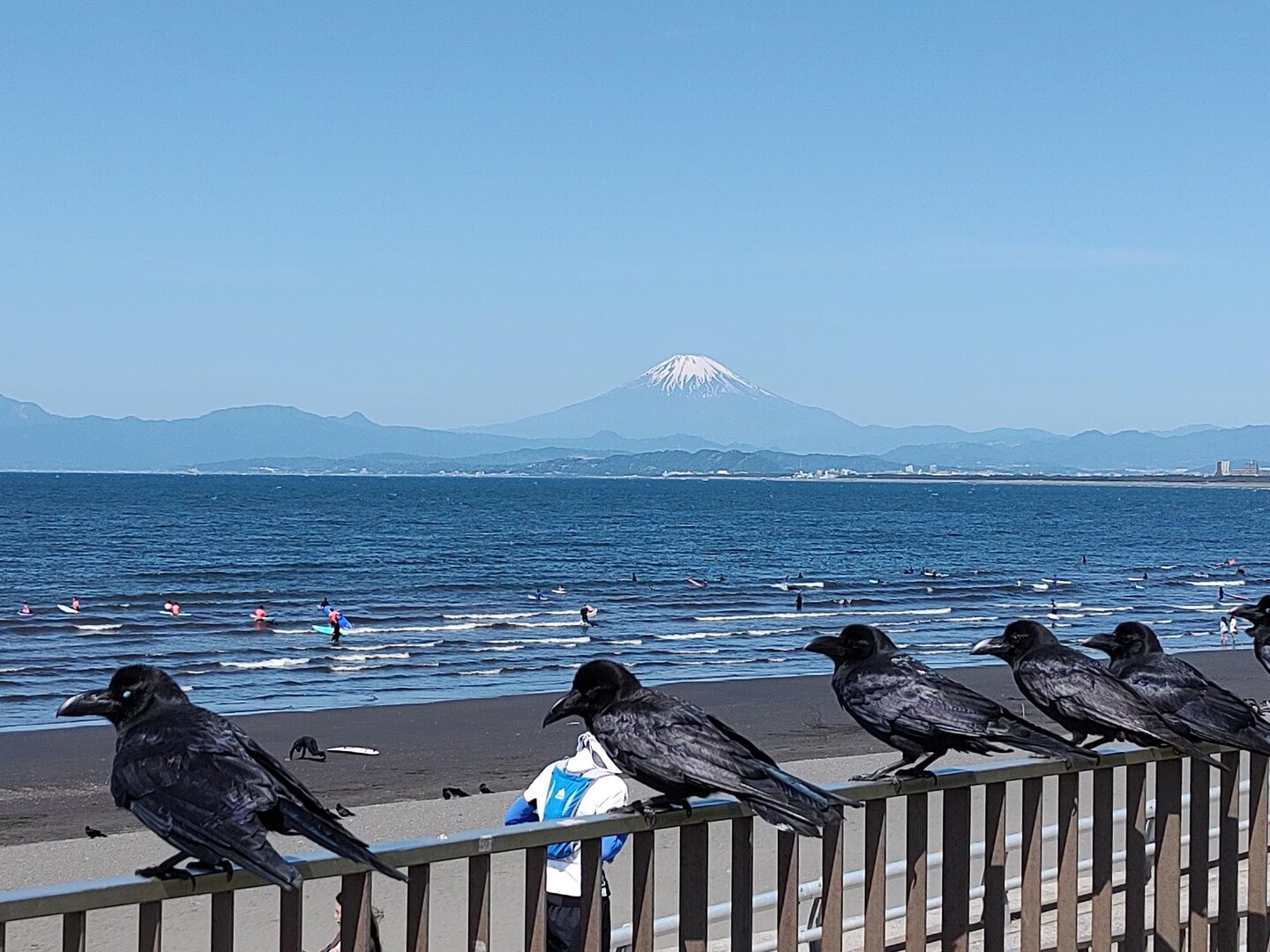 江の島駅から平塚駅の浜辺でアーシンぐ〜👍 / baruさんの茅ヶ崎市の活動データ | YAMAP / ヤマップ