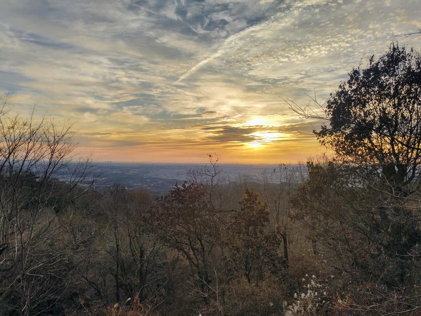 龍が如し雲現る高尾山にて登り初め の巻 / Yuuki.Yさんの高尾山・陣馬山・景信山の活動データ | YAMAP / ヤマップ