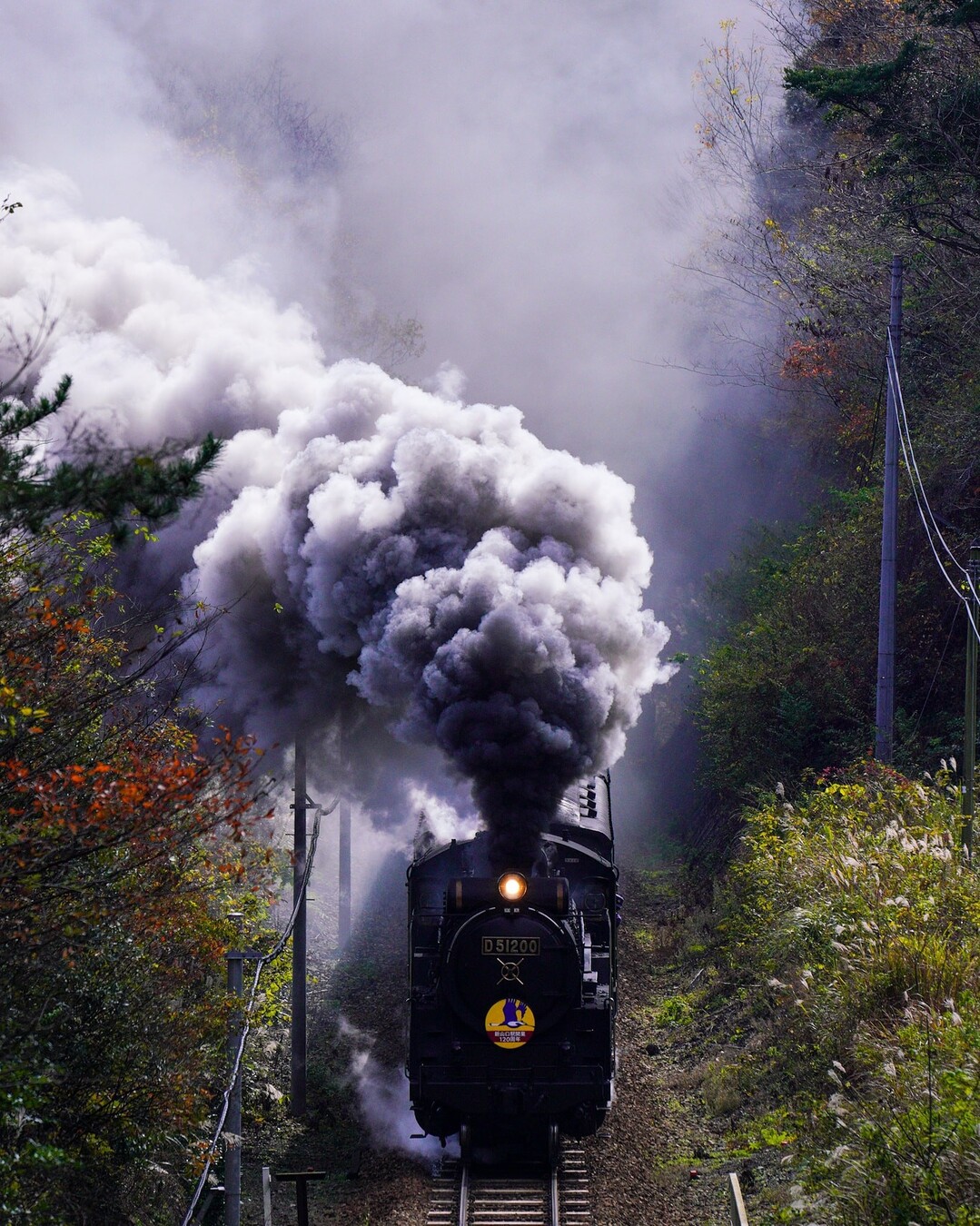 津和野城跡からSLを撮る📷霊亀山 / MIHO さんの青野山・奥山の活動日記 | YAMAP / ヤマップ