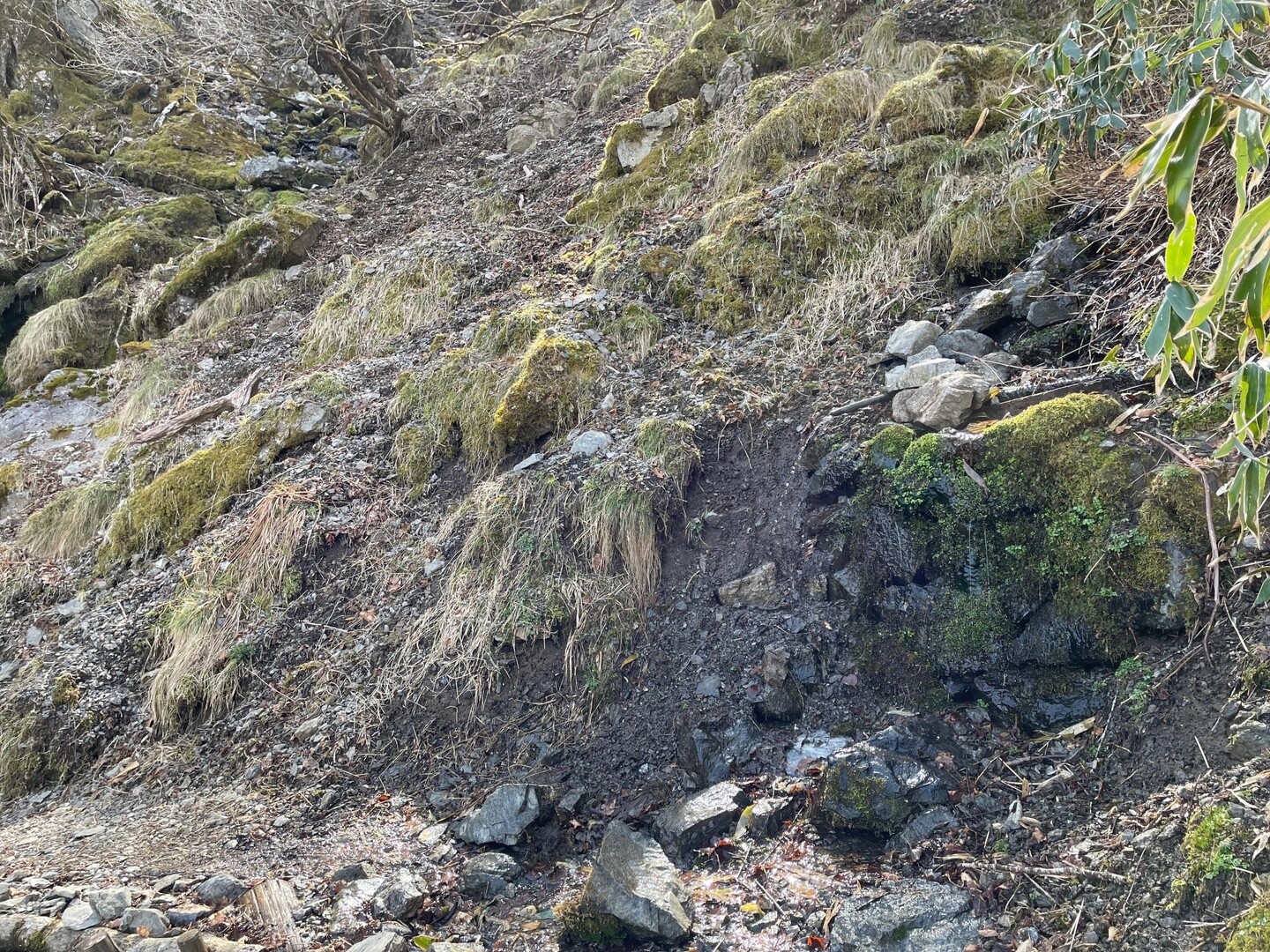 sisisisi_siさんの投稿したフィールドメモ | YAMAP / ヤマップ