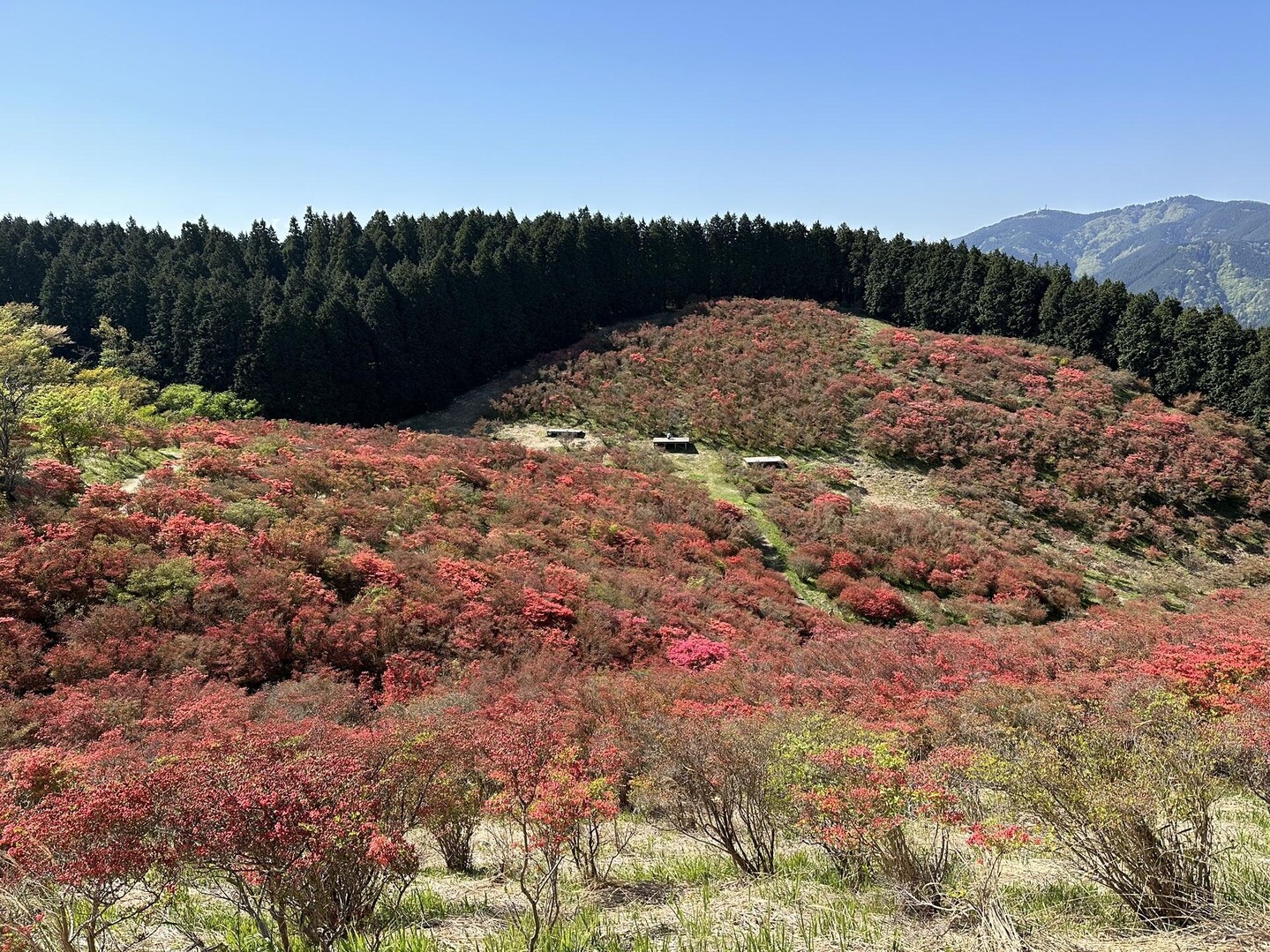 大和葛城山・湧出岳・葛木岳・金剛山 20230501 / snowyさんの金剛山・二上山・大和葛城山の活動データ | YAMAP / ヤマップ