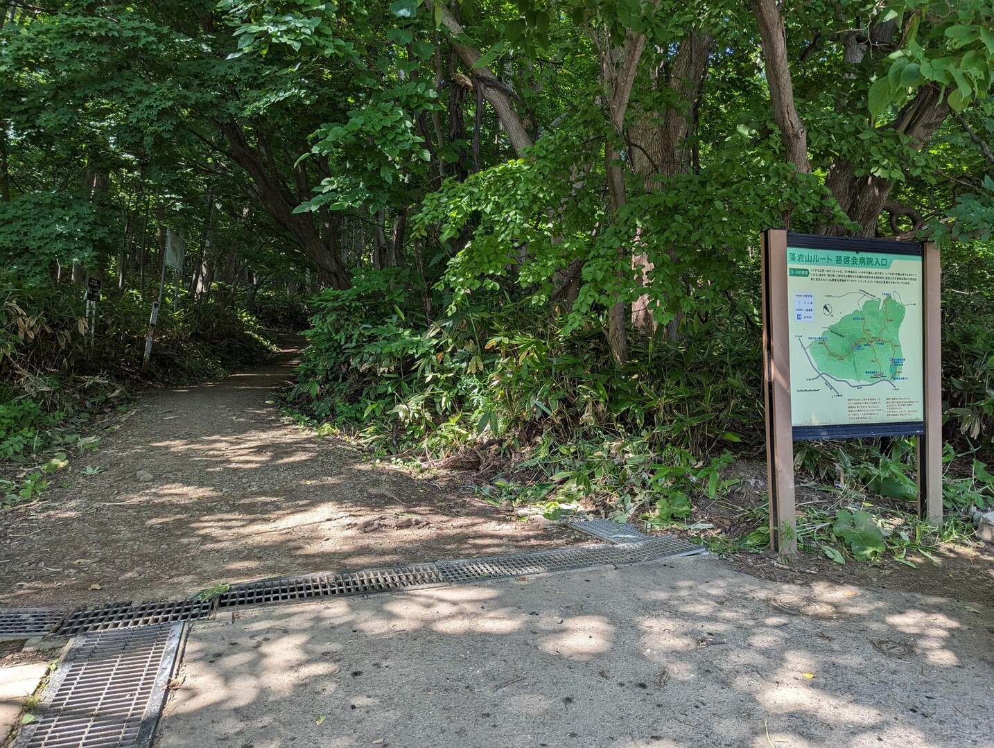 藻岩山 / hdl(はる)さんの藻岩山の活動データ | YAMAP / ヤマップ