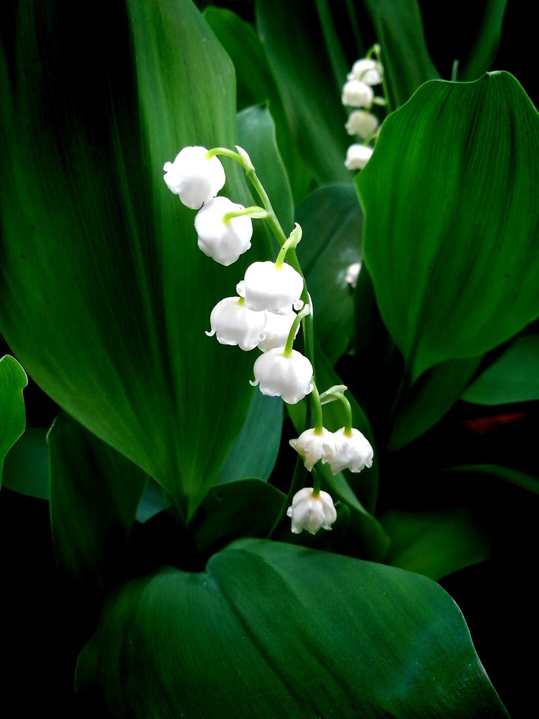 GWだけどお天道さまが不機嫌だね😓 ... / かずさんのモーメント | YAMAP / ヤマップ