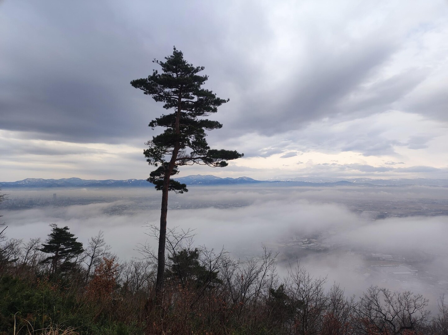 Oh！岡山・大岡山 / やまんごーさんの大岡山・小菰石山の活動データ | YAMAP / ヤマップ