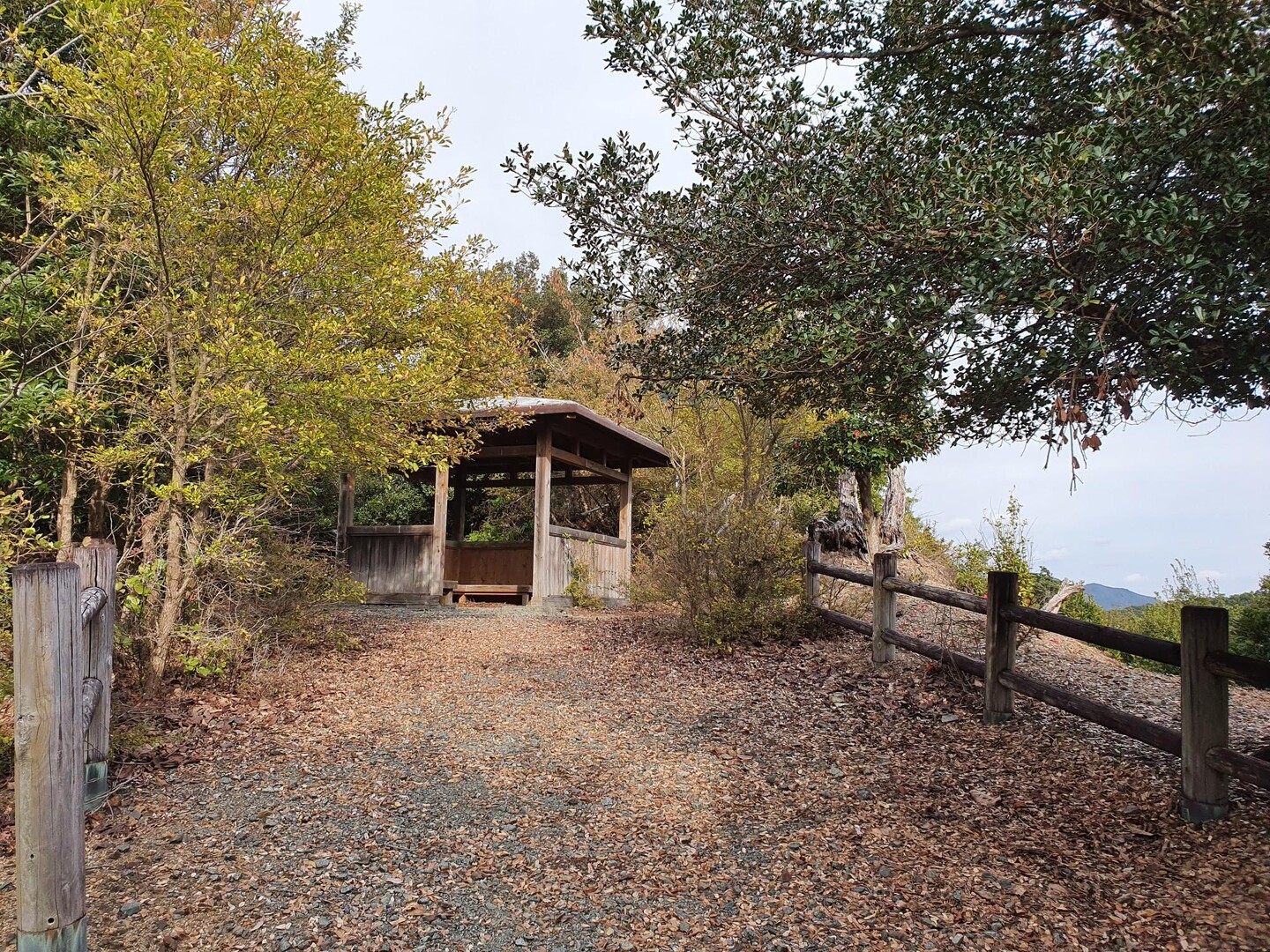 Yuto112233さんの投稿したフィールドメモ | YAMAP / ヤマップ