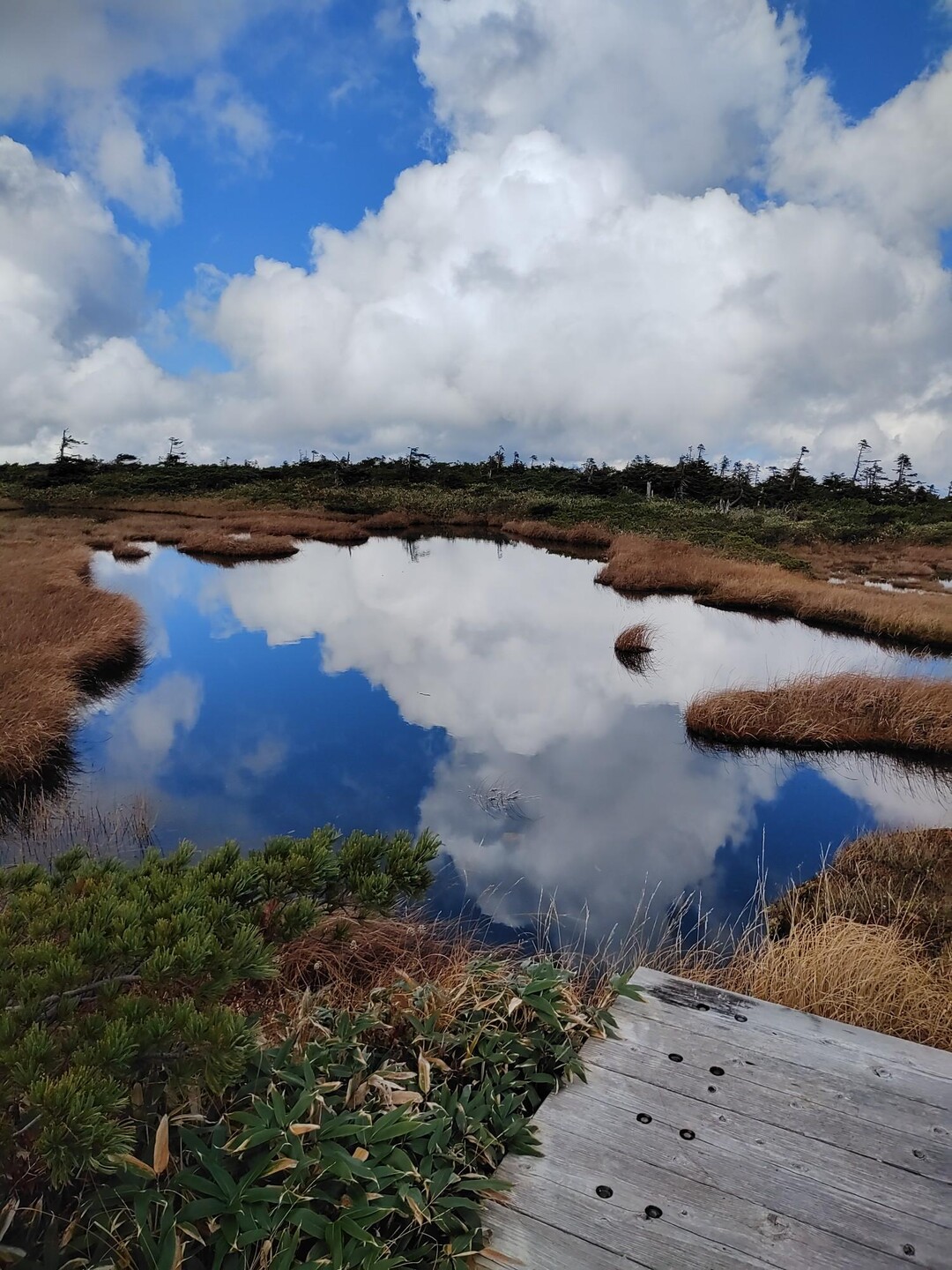やってくれたね!平ヶ岳 / kaz kitさんの平ヶ岳・台倉山・池ノ岳の活動データ | YAMAP / ヤマップ