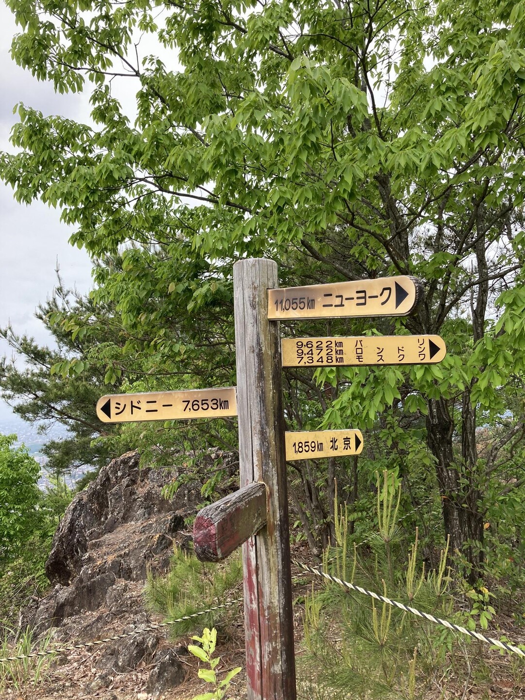 一体ここは何処でしょう⁉️ 答えは三峰山... / Yoさんのモーメント | YAMAP / ヤマップ