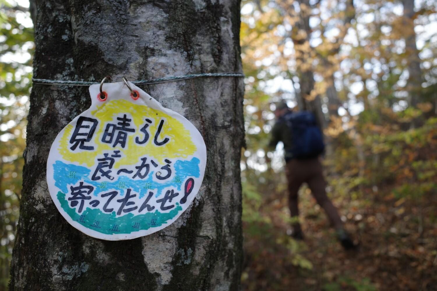 ゆ〜っくり霞露ヶ岳-2023-11-15 / G-Mikiさんの霞露ヶ岳・船越半島の活動日記 | YAMAP / ヤマップ