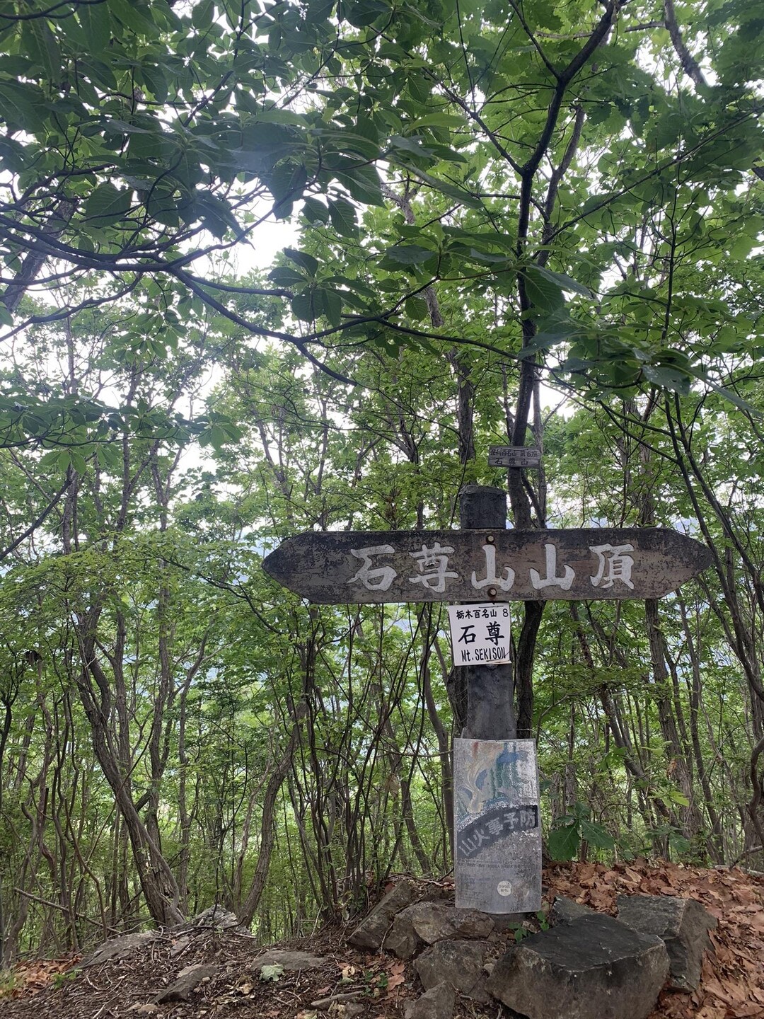 石尊山・ヤシオ山・姥穴山・城山・正頂山 / monaさんの両崖山・仙人ヶ岳・石尊山の活動データ | YAMAP / ヤマップ