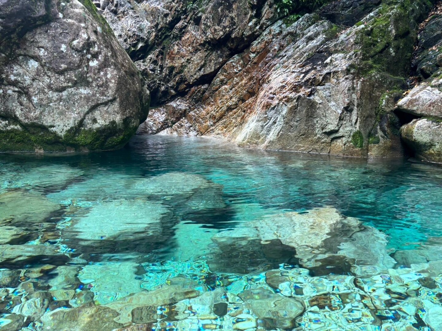 前鬼→杖谷 沢登り 釈迦ヶ岳-2024-06-16 / PON TWOさんの釈迦ヶ岳・大日岳・涅槃岳の活動日記 | YAMAP / ヤマップ