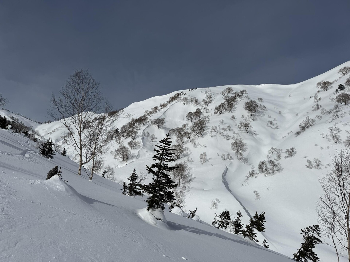 かぐらで、ちょこBC 北斜面 / tony1080さんの苗場山・赤倉山・佐武流山の活動データ | YAMAP / ヤマップ