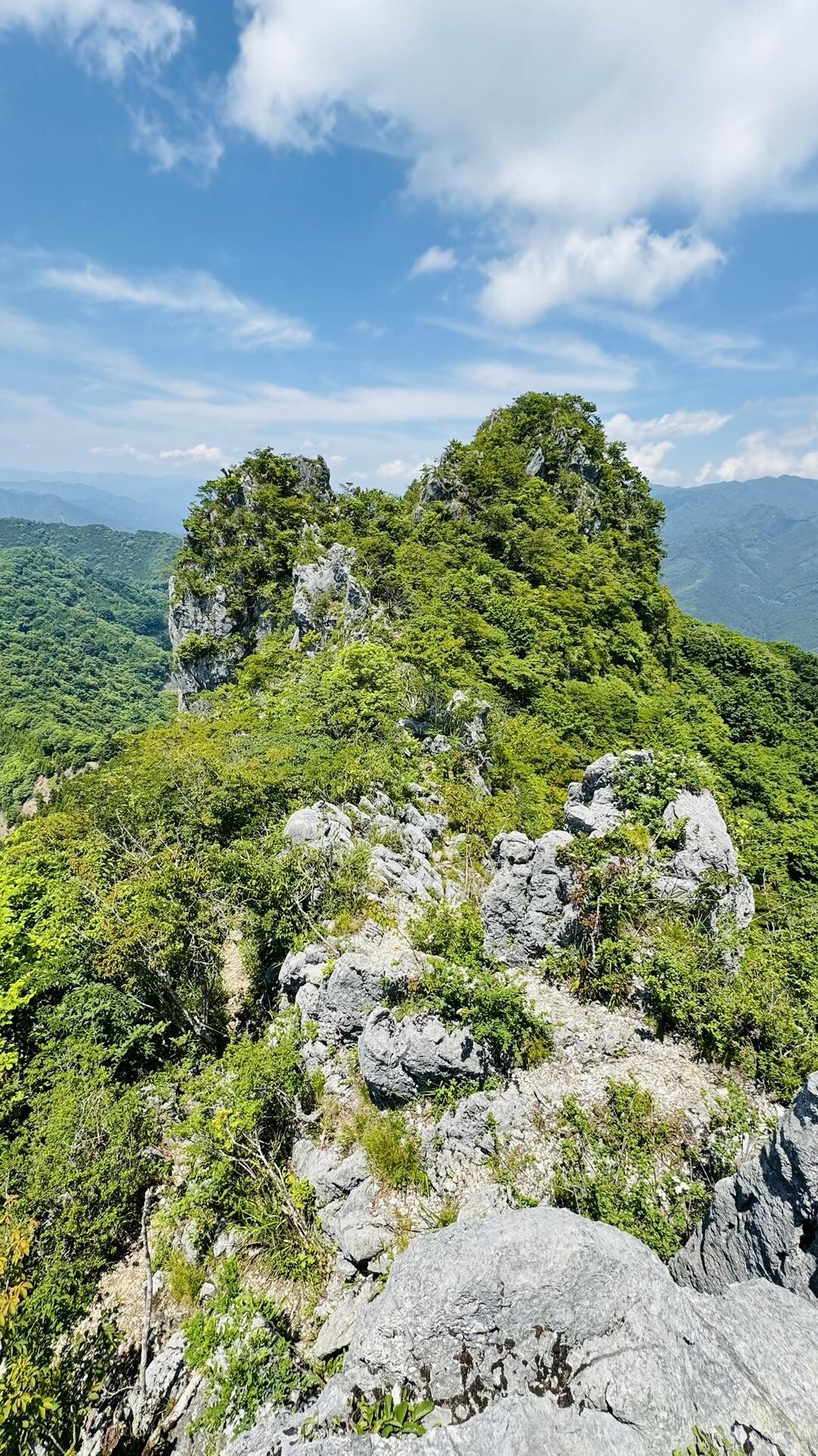 2024.6.15.二子山／東岳・西岳(倉尾登山口) / yuumin222.さんの両神山・諏訪山・二子山の活動データ | YAMAP / ヤマップ