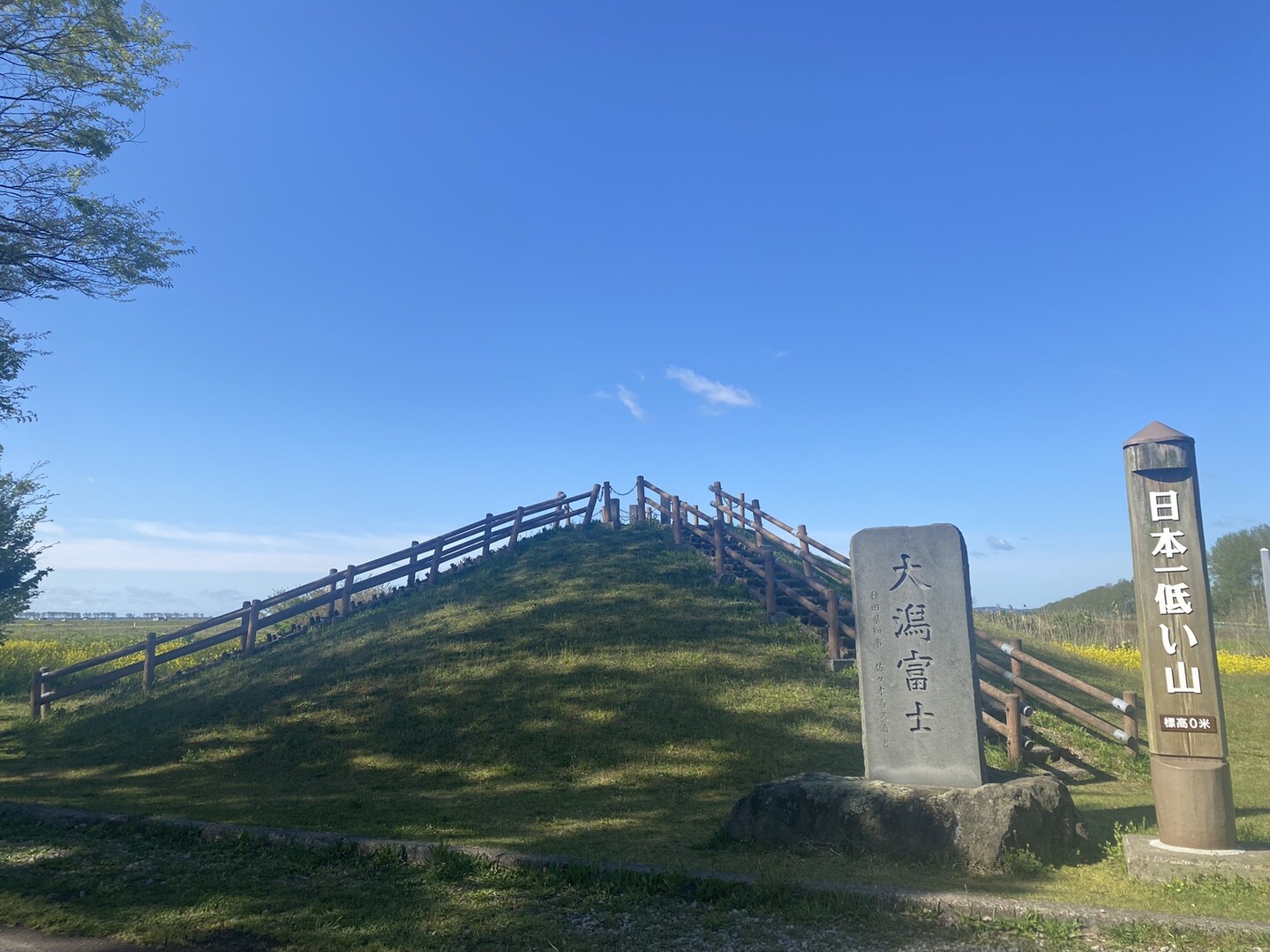 日本一低い山 “大潟富士” 菜の花が見頃... / taraさんのモーメント | YAMAP / ヤマップ