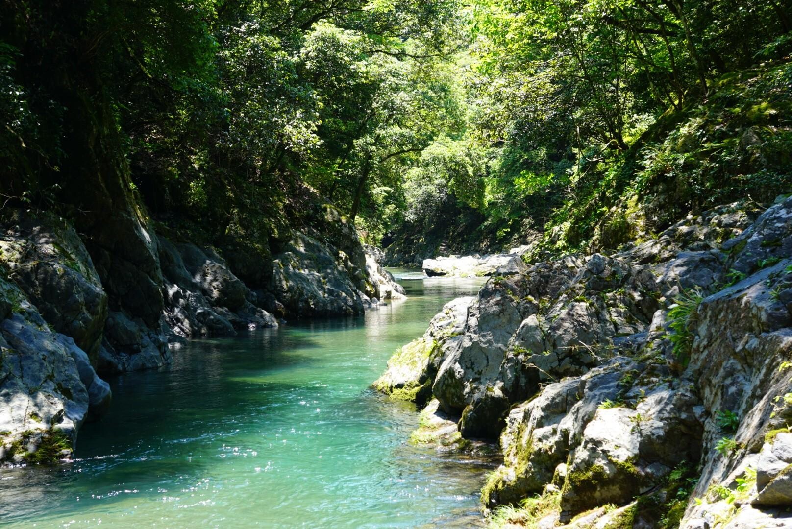 京都一周トレイル 清滝〜渡月橋 / Zen Kooさんのウォーキングの活動データ | YAMAP / ヤマップ