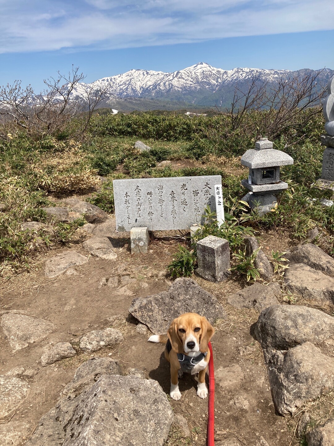 https://youtu.be/mWg... / 山旅犬🐶ロマチッチ lomachicciさんのモーメント | YAMAP / ヤマップ