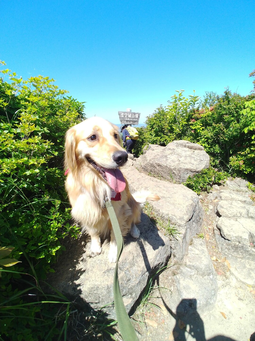 虚空蔵山(虚空蔵岳) / marupaさんの虚空蔵山の活動データ | YAMAP / ヤマップ