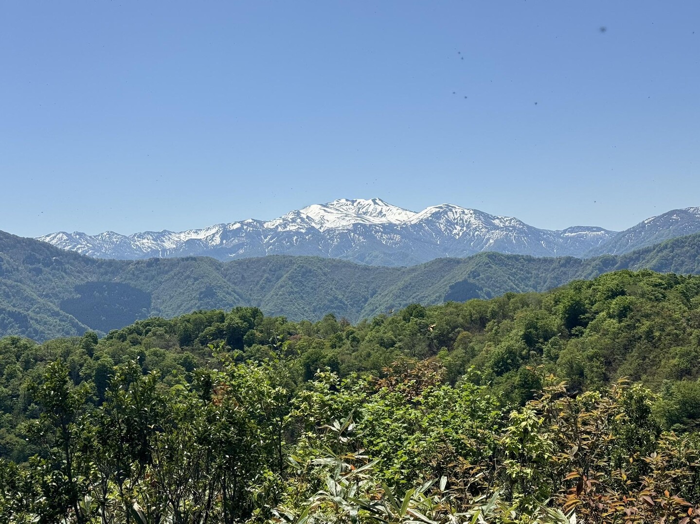大恐山（オンソリ山）・笈山・鉢伏山 / junyaさんの大恐山・笈山・鉢伏山の活動データ | YAMAP / ヤマップ