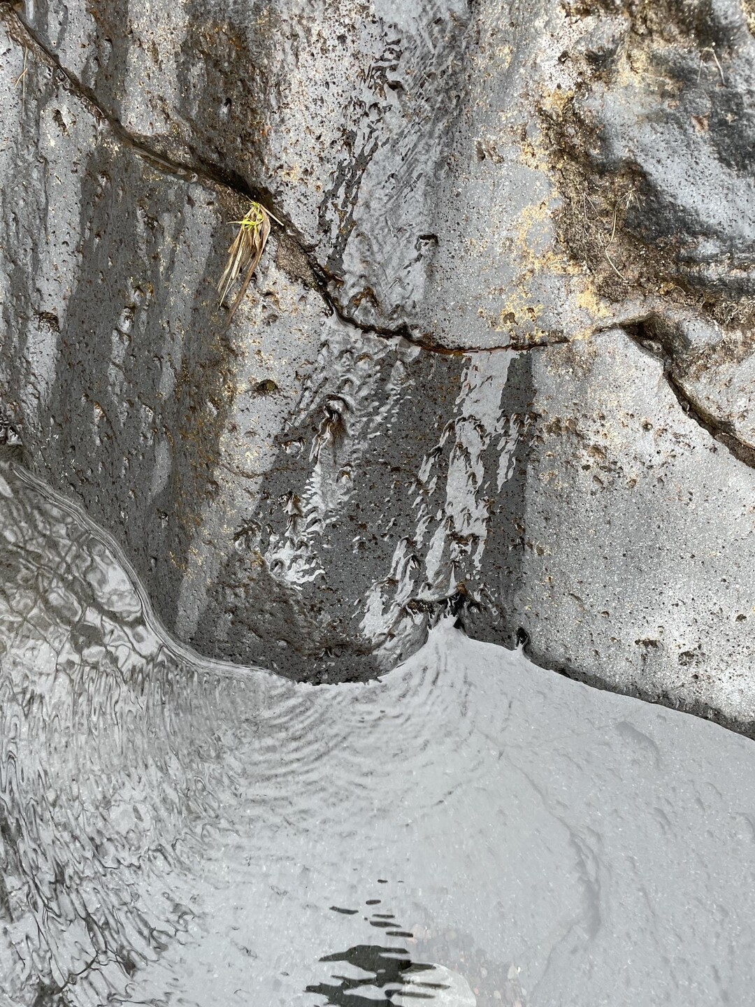 ISOさんの投稿したフィールドメモ | YAMAP / ヤマップ