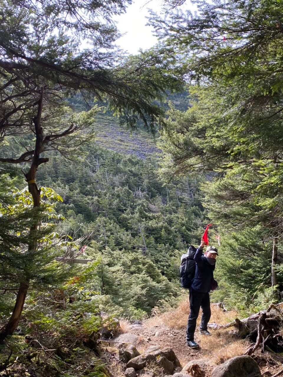 Ryokoのページ | YAMAP / ヤマップ