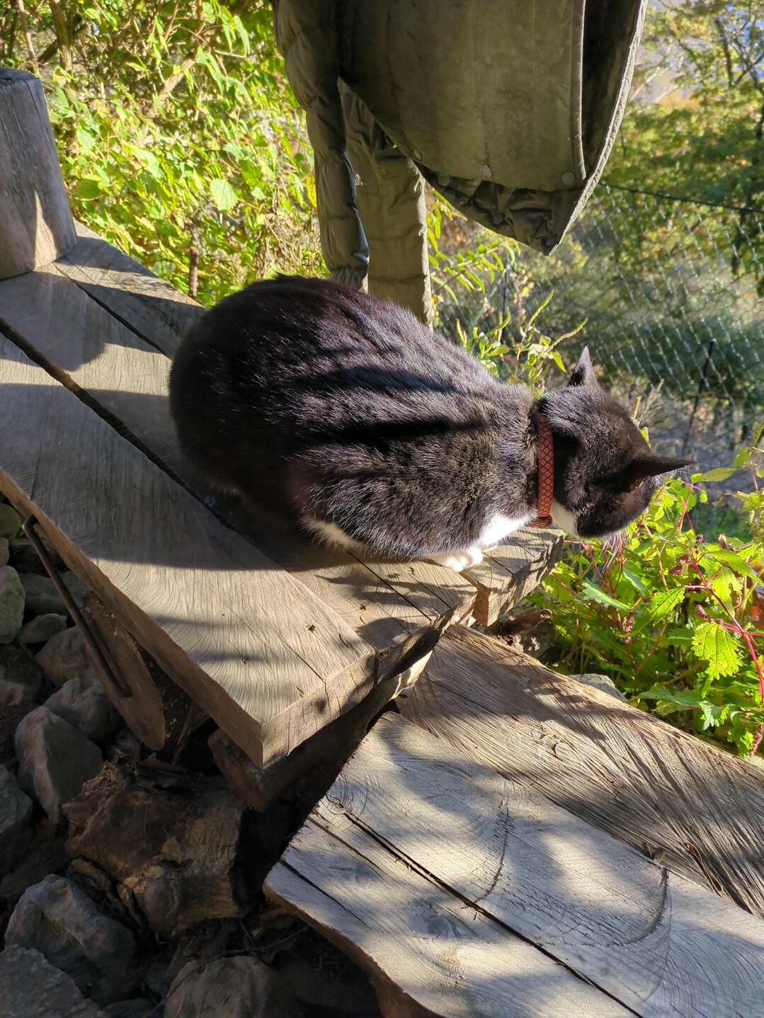 Guestさんの投稿したフィールドメモ | YAMAP / ヤマップ