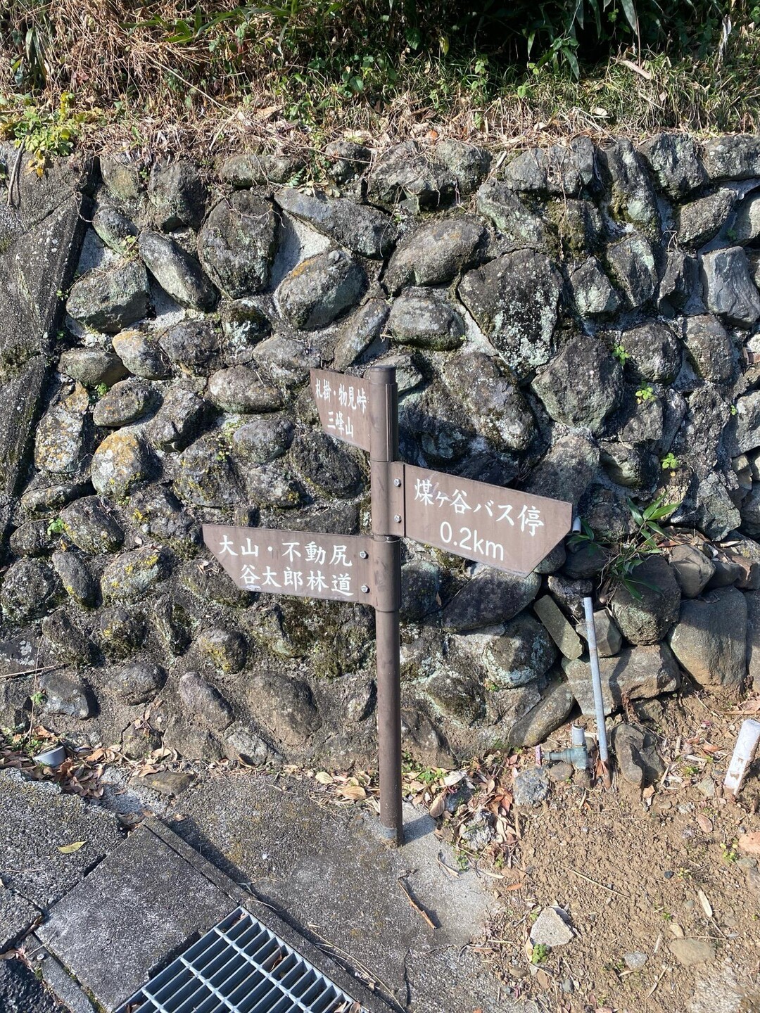 三峰山(大山三峰山) / OS@MUさんの大山の活動データ | YAMAP / ヤマップ