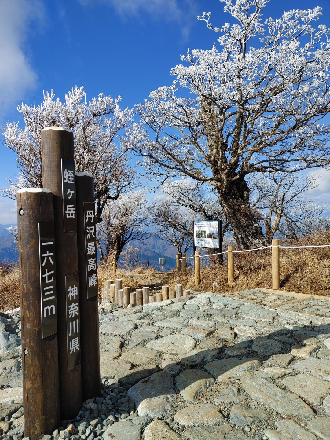 焼山・姫次・蛭ヶ岳・丹沢山・塔ノ岳 / dodoさんの塔ノ岳・丹沢山・蛭ヶ岳の活動データ | YAMAP / ヤマップ