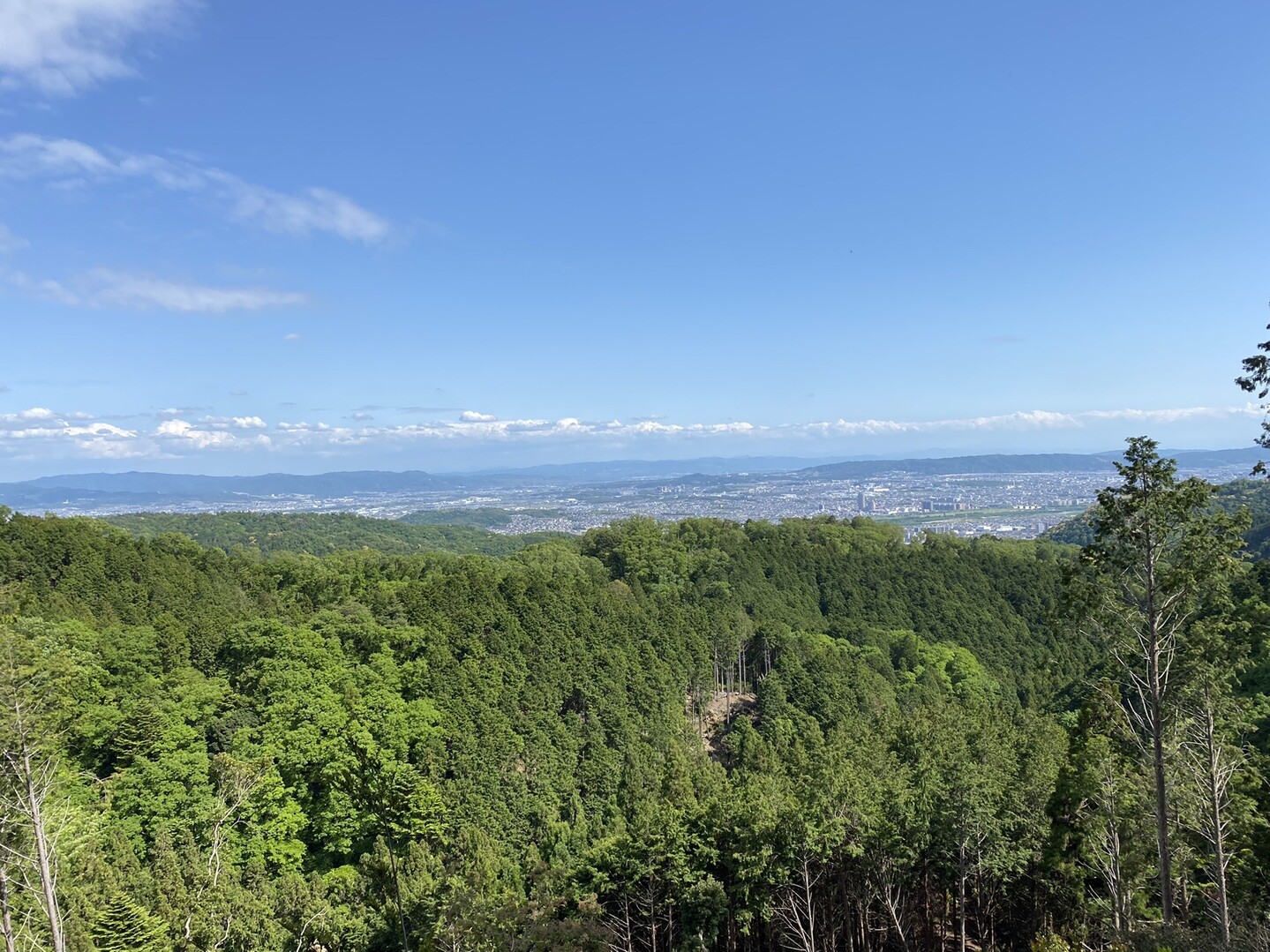 大阪モアイさんの投稿したフィールドメモ | YAMAP / ヤマップ