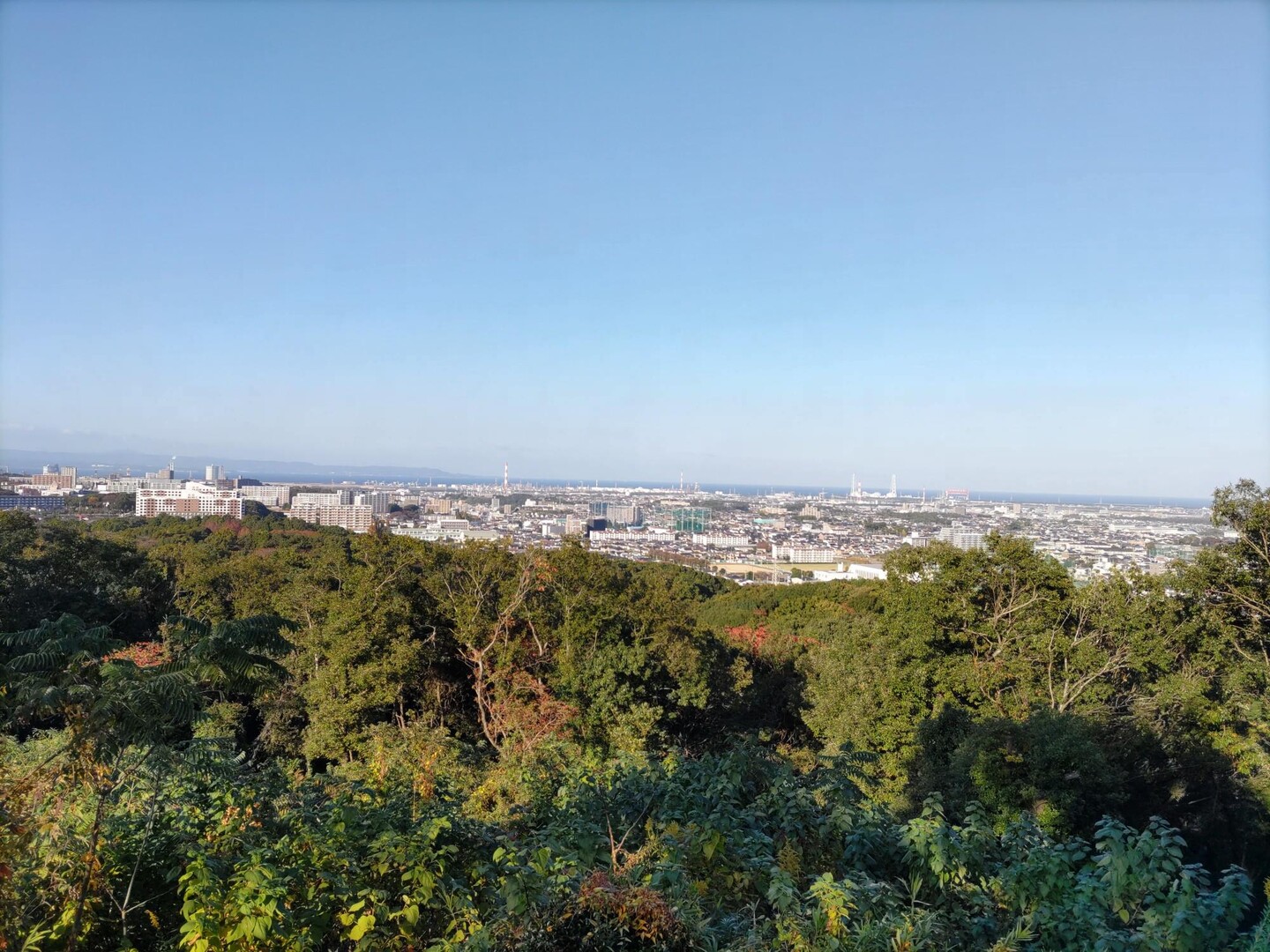 大分、初活動は歩いていける高尾山😁 / yanさんの九六位山の活動データ | YAMAP / ヤマップ