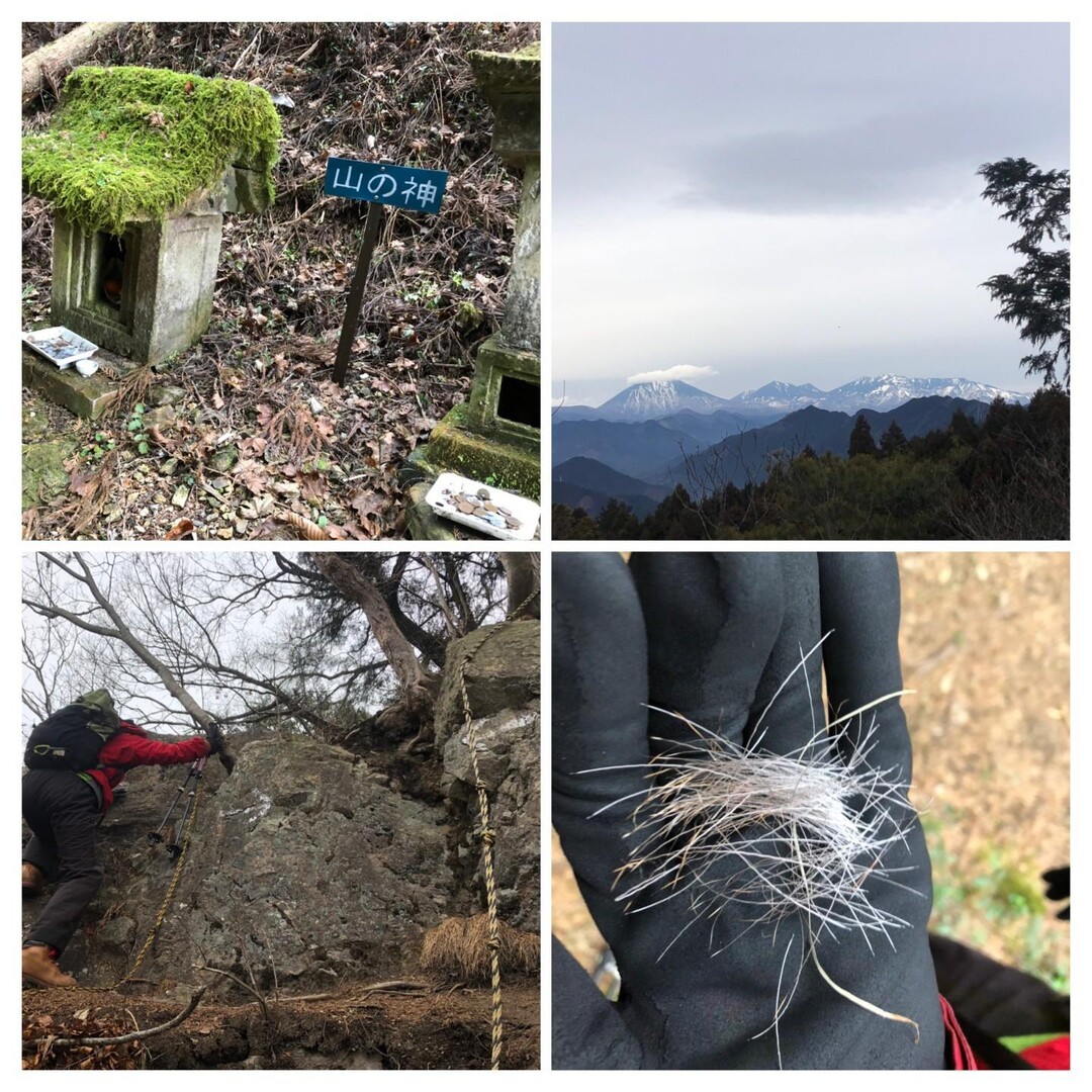 双耳峰が満腹感！二股山 / Iwanekoさんの二股山・岩山の活動データ | YAMAP / ヤマップ