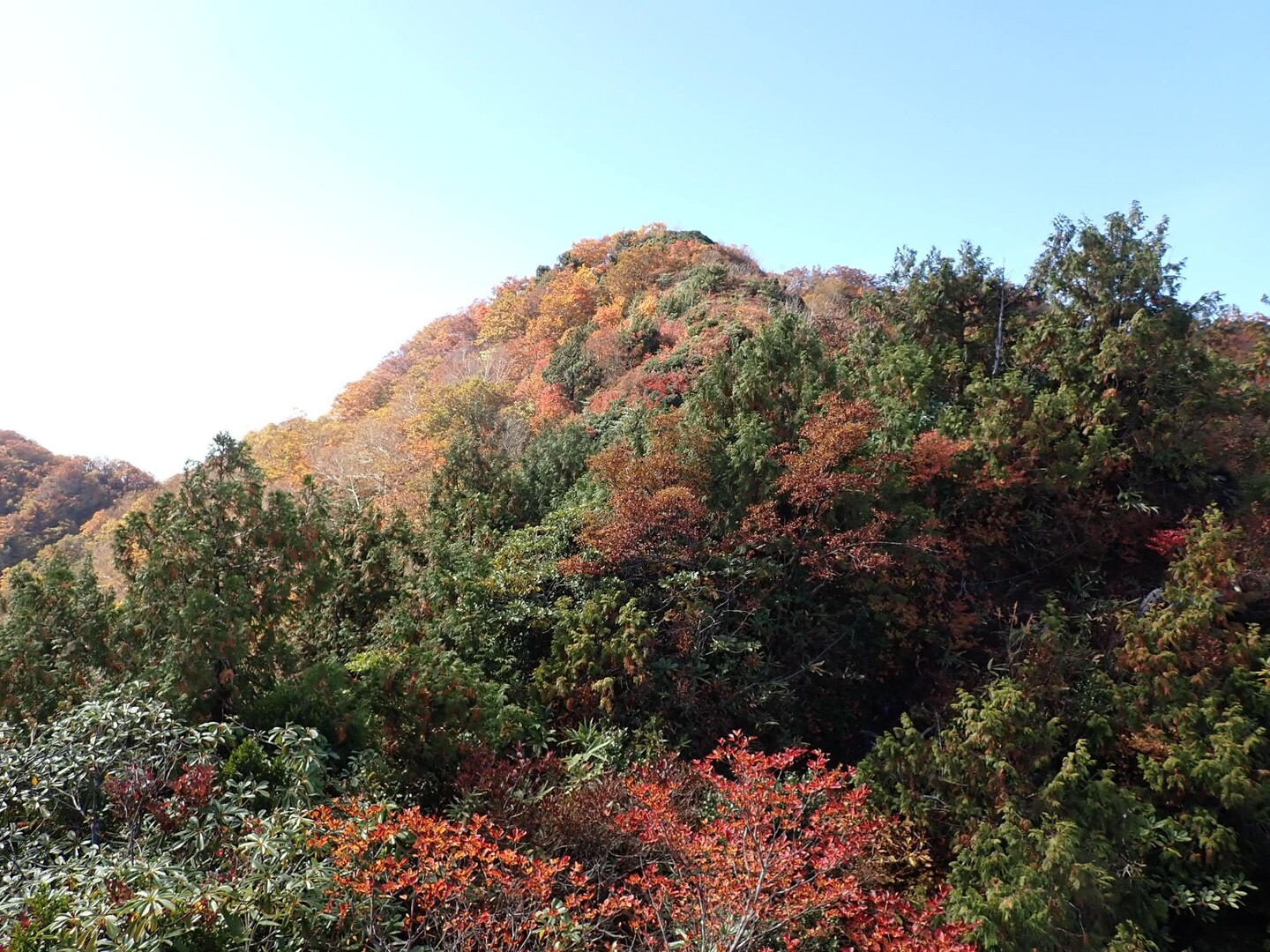 大戸岳 / rikiさんの大戸岳の活動データ | YAMAP / ヤマップ