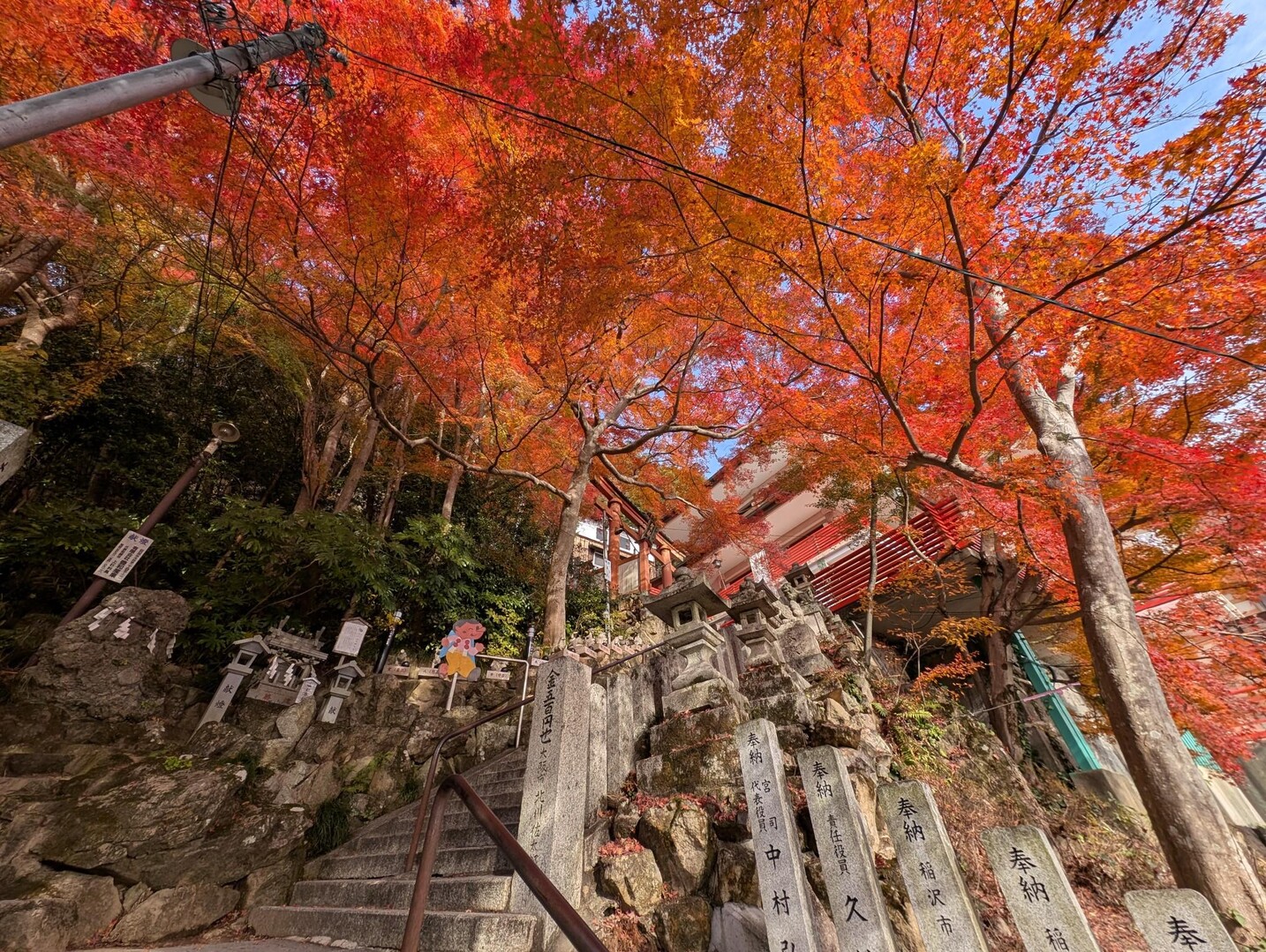 太郎坊山 / himoさんの箕作山・太郎坊山の活動データ | YAMAP / ヤマップ